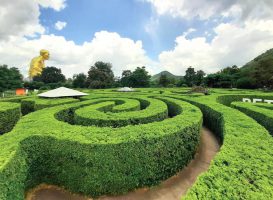 พิชญ์เขาวงกต (Pete Maze) เดินงงๆกลางป่าใหญ่ | Go Out ไปเที่ยวกันเถอะ